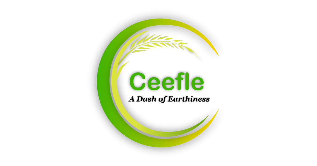 Ceefle Venture
